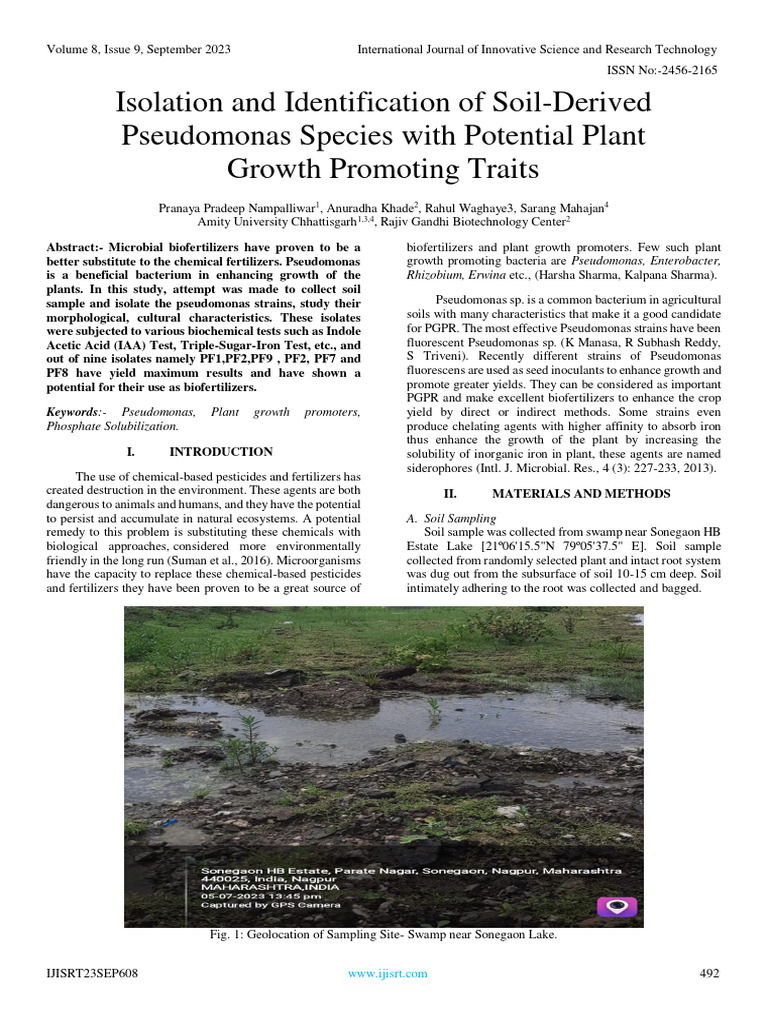 Isolation and Identification of Soil-Derived Pseudomonas Species With Potential Plant Growth ...