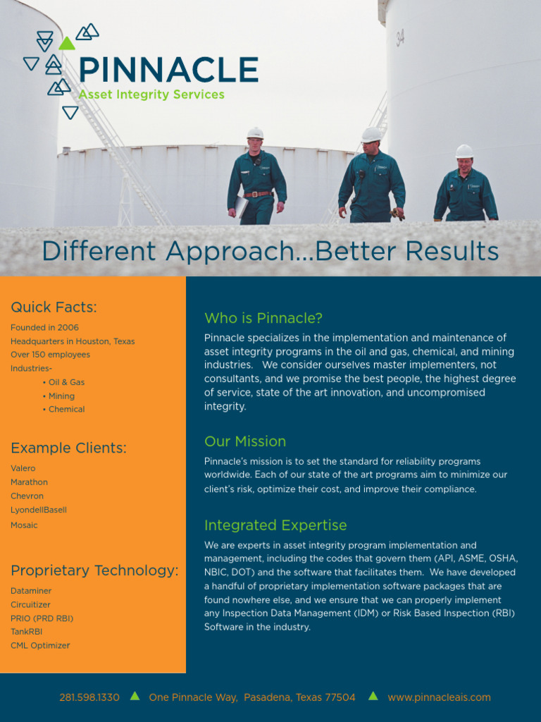 Pinnacle Overview | PDF | Software | Business