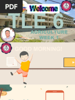 EPP6-ICT-PPT-Week 3 | PDF