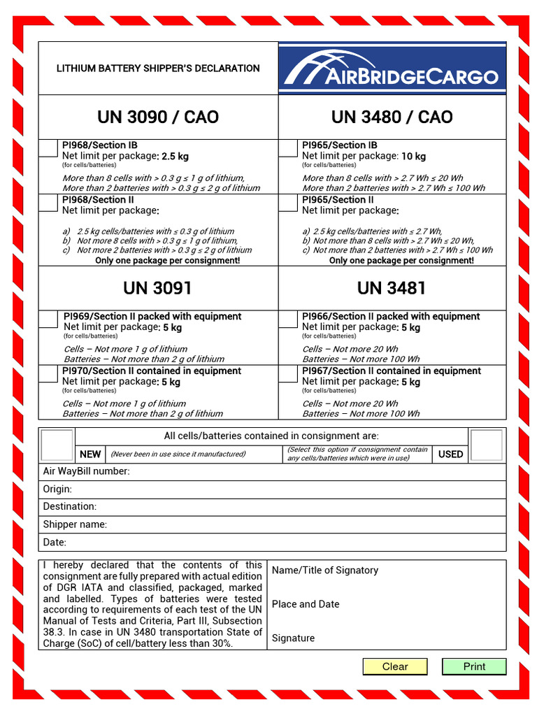 RU-04 Declaration ENG | PDF | Sustainable Technologies | Battery (Electricity)