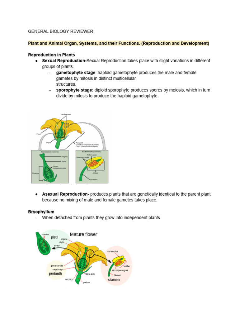 Biology Review: Reproduction & Development | PDF | Sexual Reproduction ...