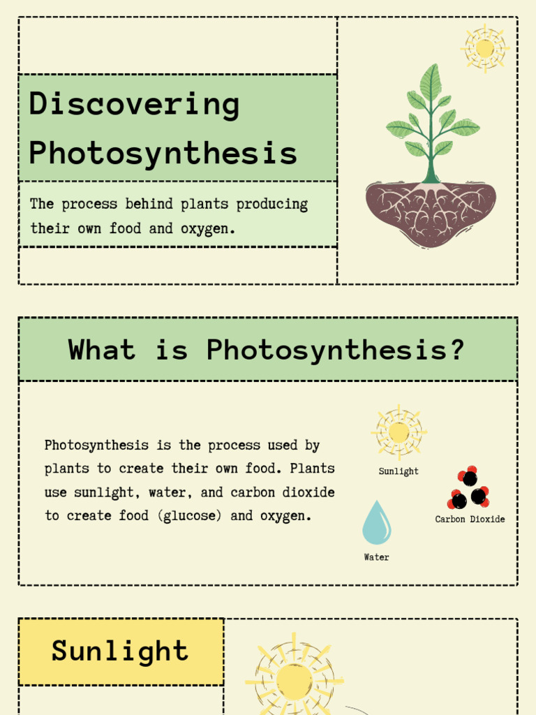 Photosynthesis Science Presentation in Green Beige Illustrative Style ...