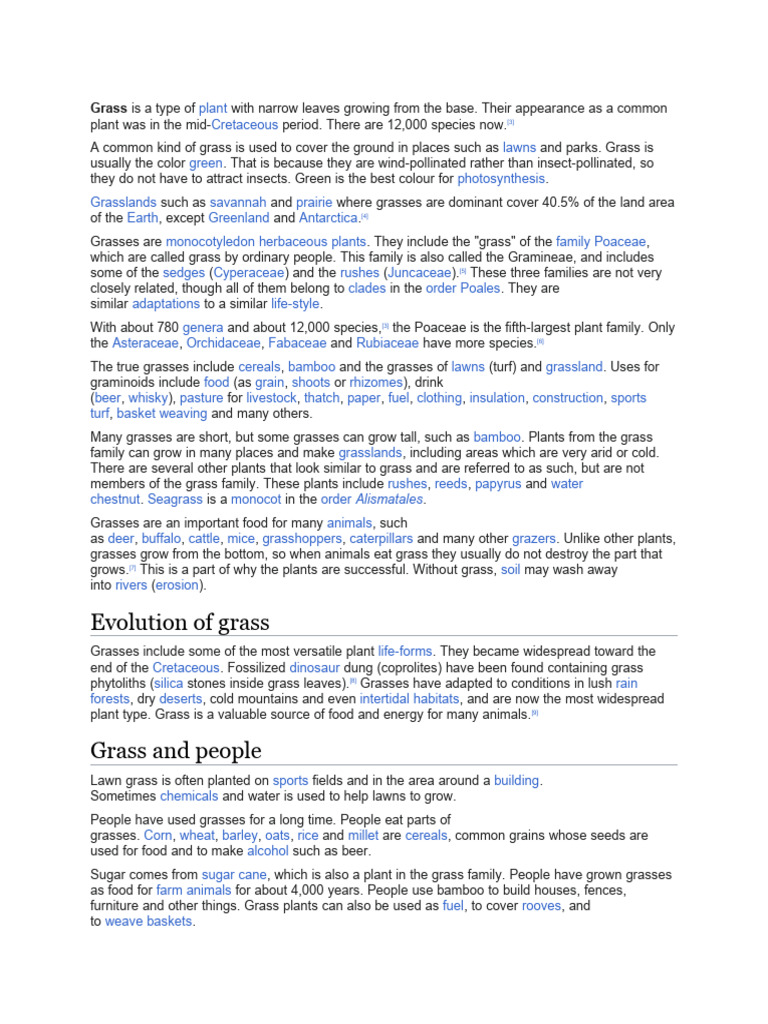 What Is Grass? | PDF | Plants | Botany