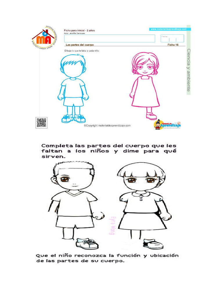 Cuerpo Humano Incompleto | PDF