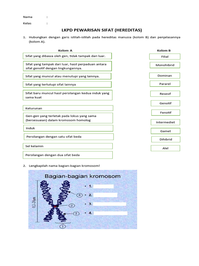 LKPD Pewarisan Sifat (Hereditas) | PDF