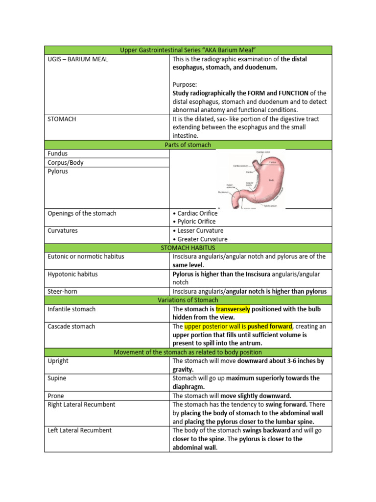Upper GI Series: Stomach Habitus Overview | PDF | Stomach ...