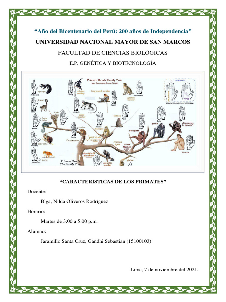 Características Evolutivas de Primates | PDF | Evolución | Humano