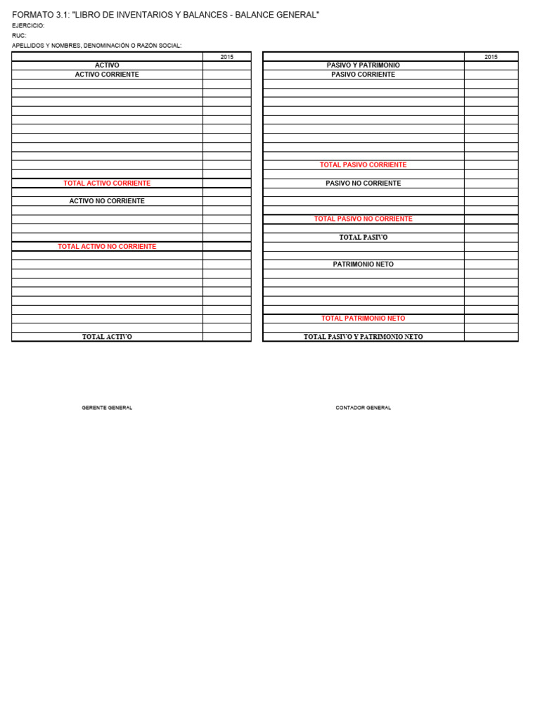 FORMATO 3.1 Inventario y Balance General | PDF