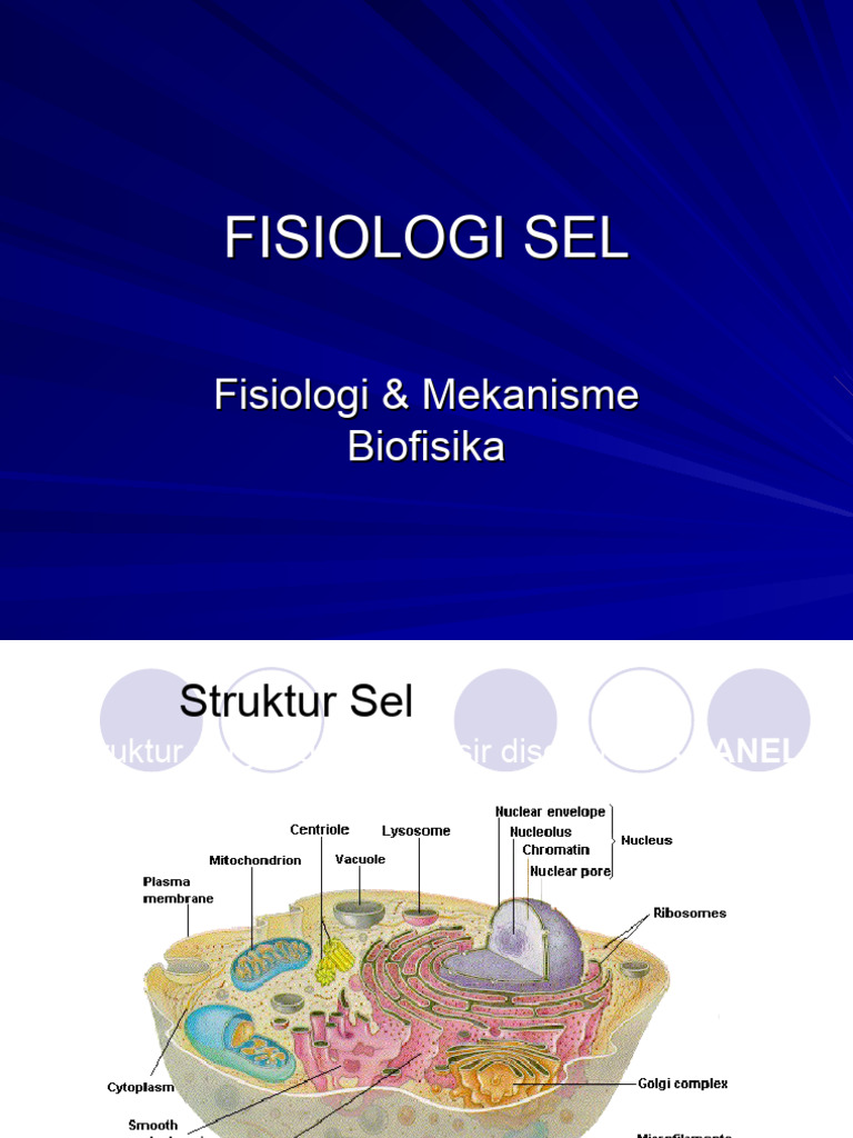Fissel Rev | PDF