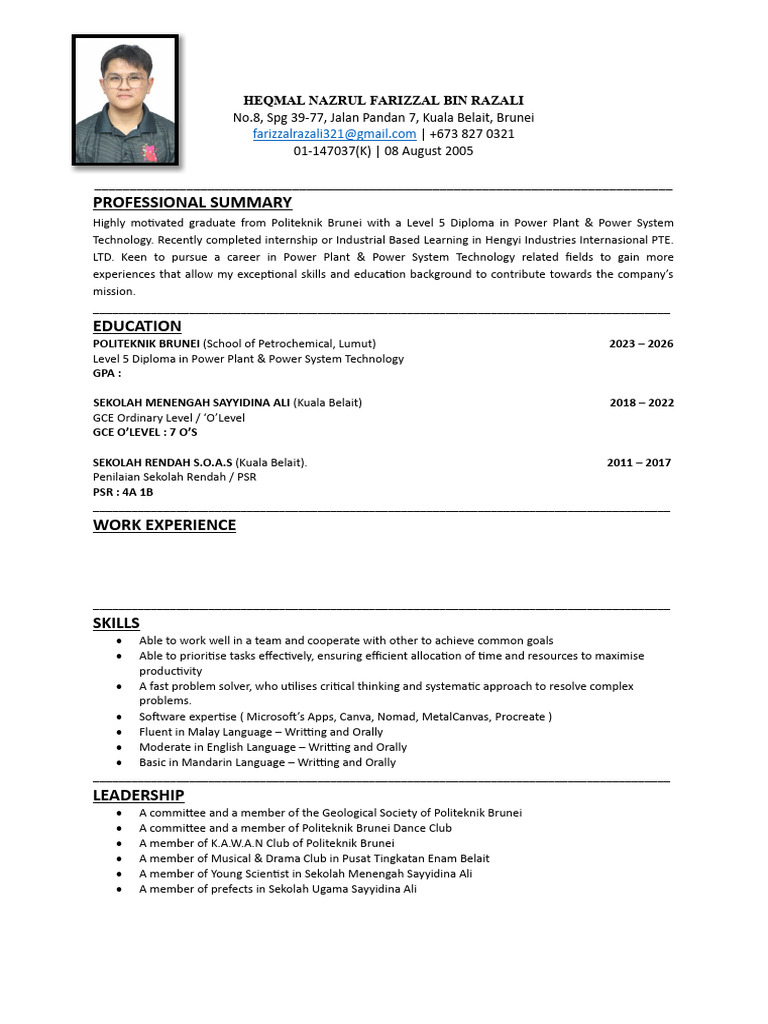 Heqmal Razali CV | PDF | Learning | Cognition