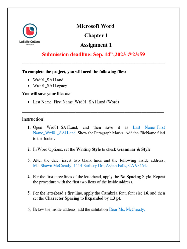 Microsoft Word Assignment Instructions | PDF