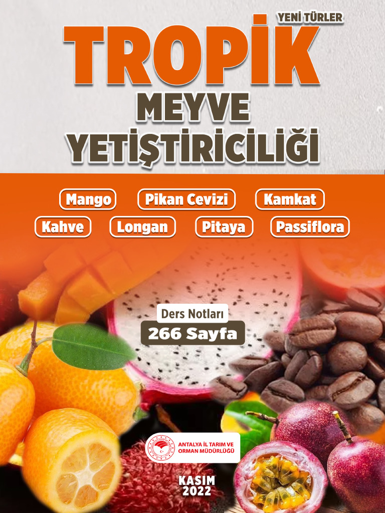 Tropik Meyve | PDF