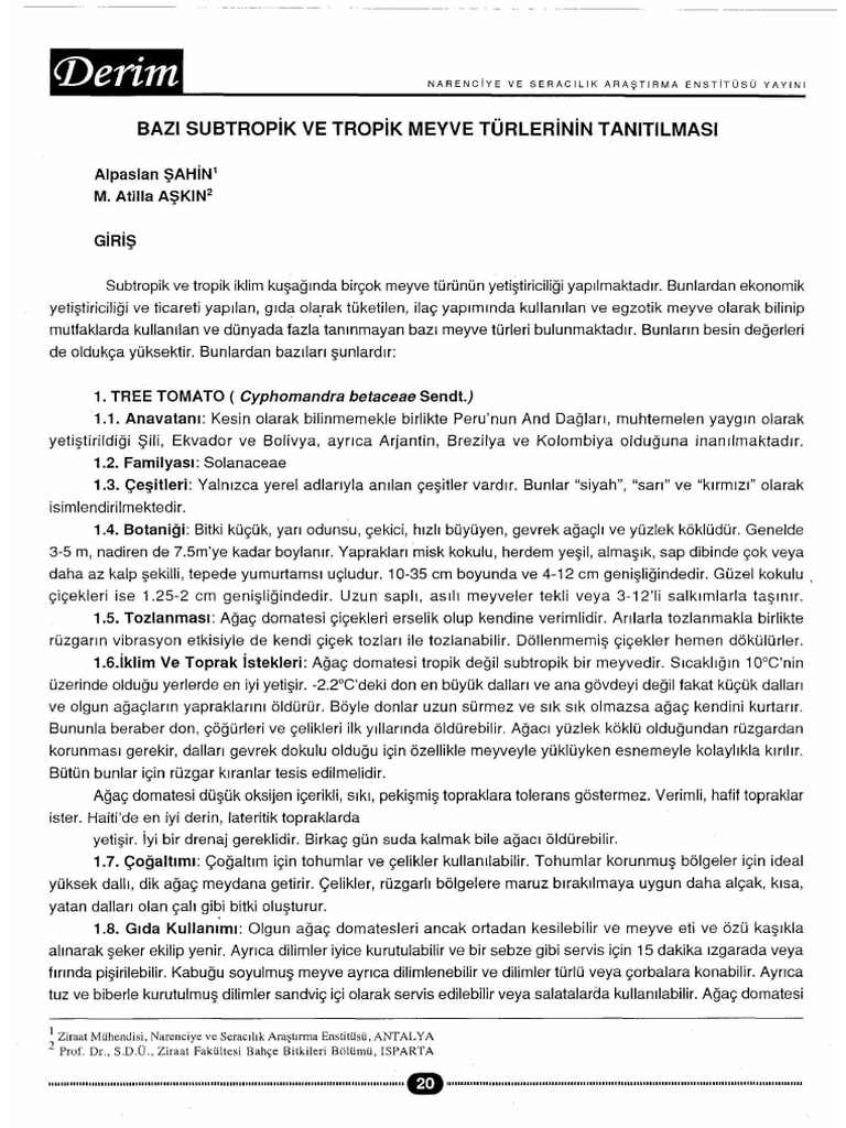 Subtropik | PDF