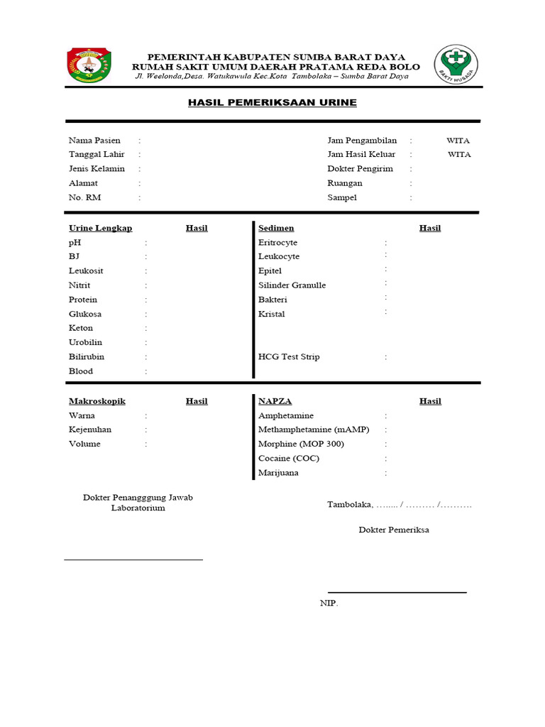 Hasil Pemeriksaan Urine Lengkap | PDF