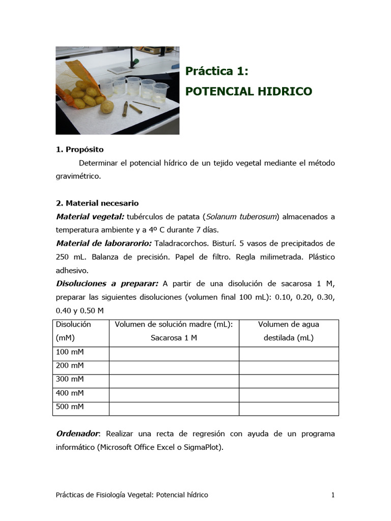 Practica1 Potencial Hidrico | PDF | Patata | Plantas