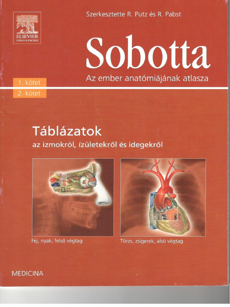 Sobotta Táblázatok | PDF