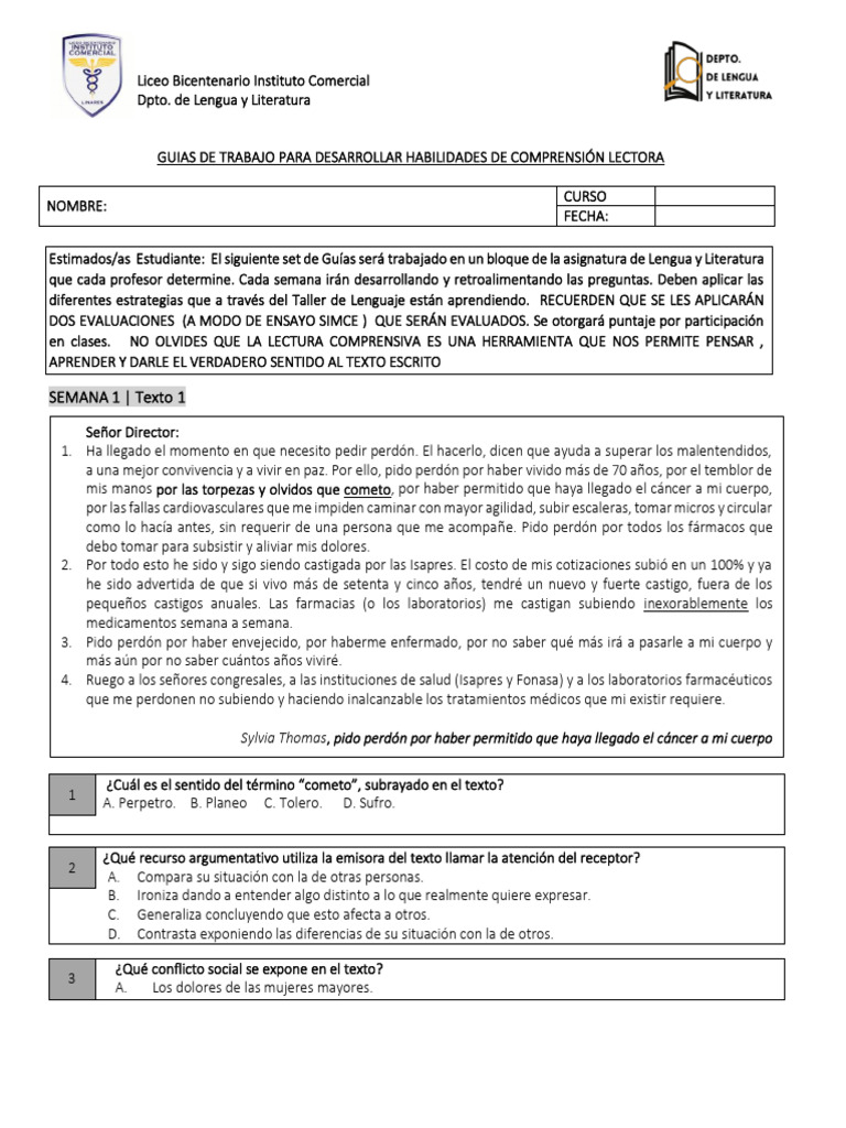 Guía Simce | PDF | Arte