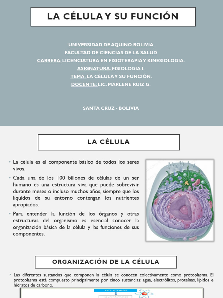 Tema N°2 La Celula y Su Funcion | PDF | Citoplasma | Membrana celular