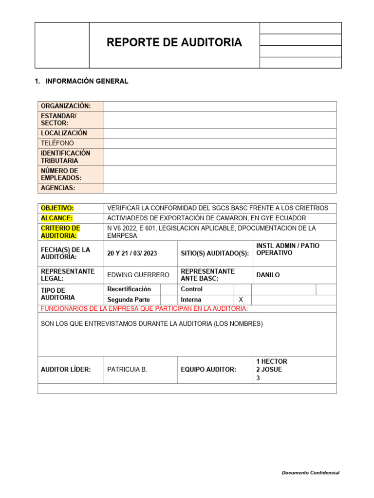 Reporte de Auditoria Interna | Descargar gratis PDF | Auditoría | Logística