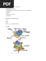 Grade 10 Biology Notes | PDF | Mitosis | Leaf