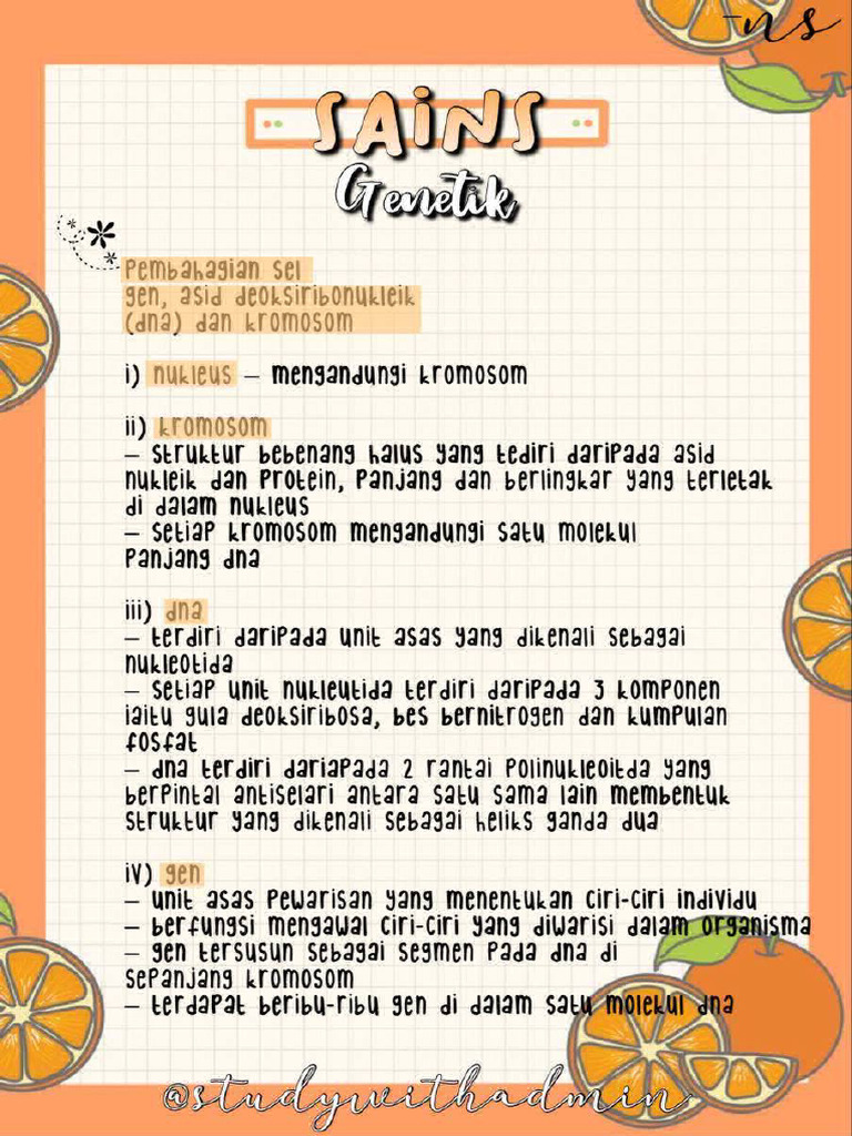 Sains B5 F4 Studywithadmin | PDF