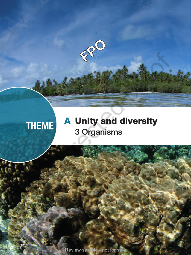 Pearson IB Biology HL Sample Chapter | PDF | Ploidy | Karyotype