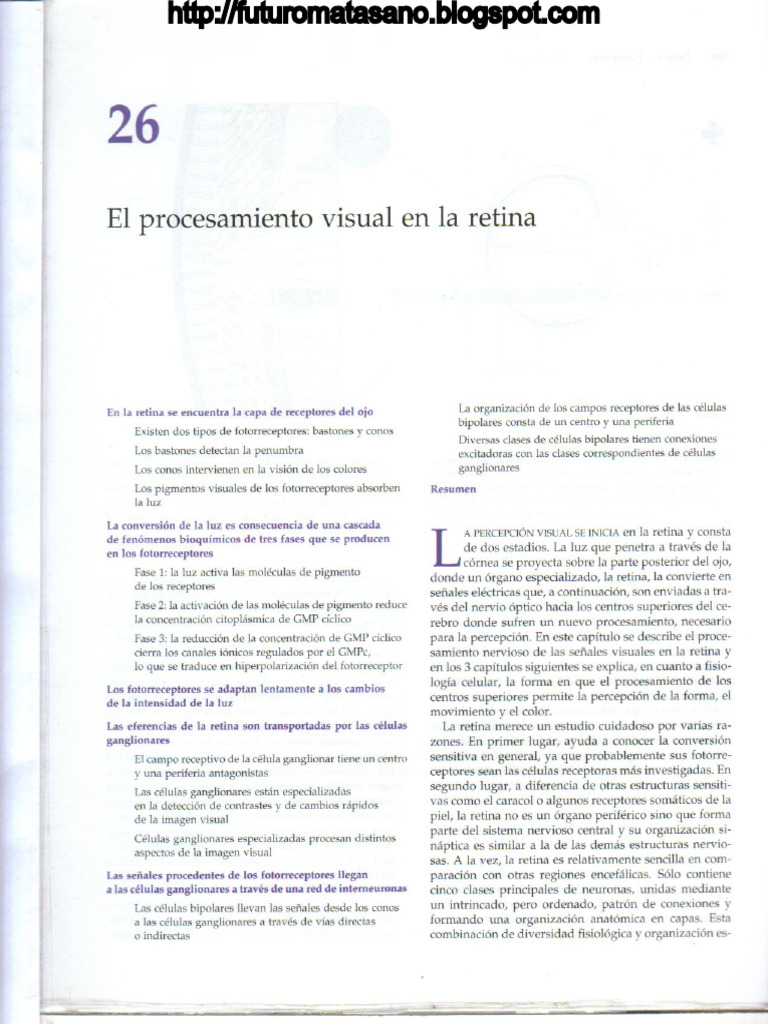 Capitulo 26 - Procesamiento Visual de La Retina | PDF