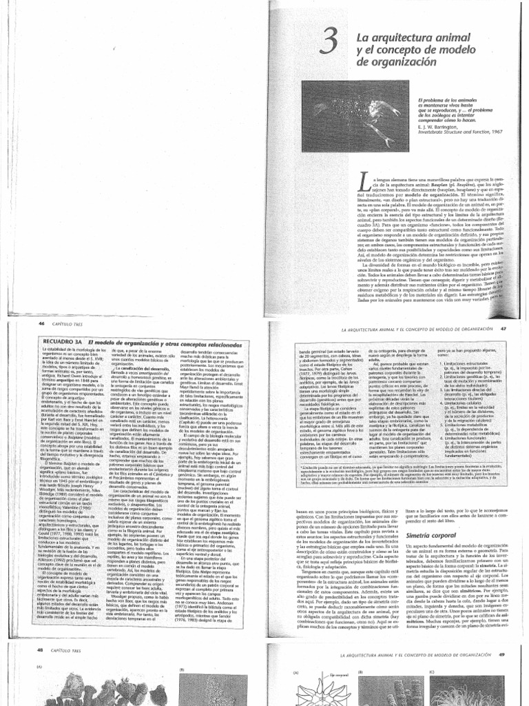 Invertebrados 2a Edicion - Richard C. Brusca Gary J. Brusca. | PDF