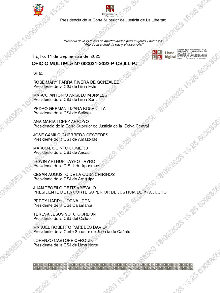 Oficio Multiple 000031 2023 P CSJLL | PDF