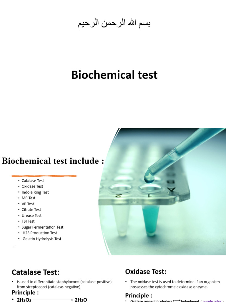 Biochemical Test | Download Free PDF | Growth Medium | Bacteria