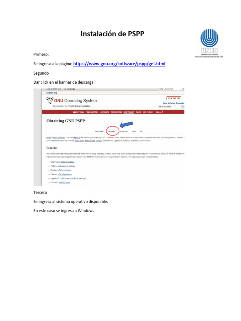 Guía Instalación PSPP | PDF