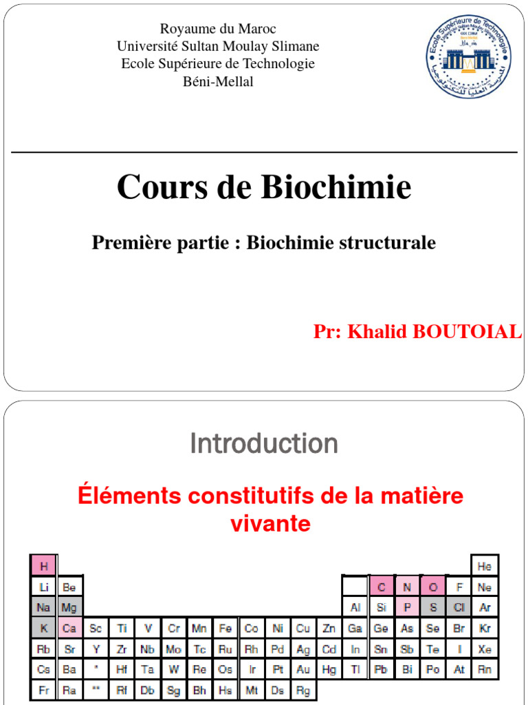 Glucides : Structure et Fonctions | PDF | Glucide | Amidon