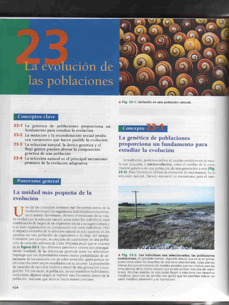 Cap23 La Evolución De Las Poblaciones Campbell Neil Pdf