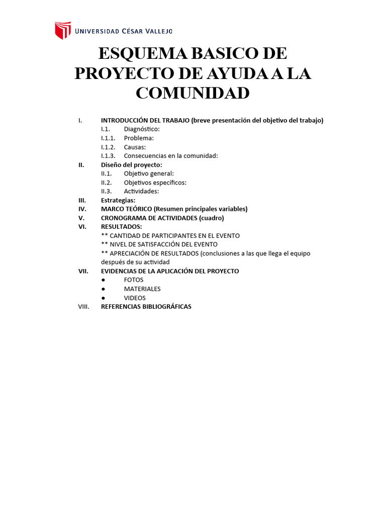 Esquema Basico de Proyecto de Ayuda A La Comunidad | PDF