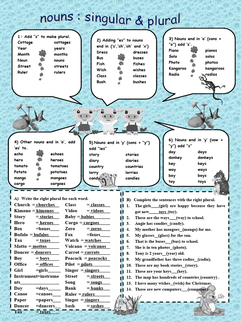 Plural Nouns Rules Worksheet | PDF | Syntax | Grammar