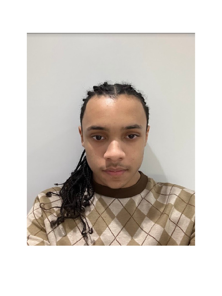 Passport Style Photos Pdf