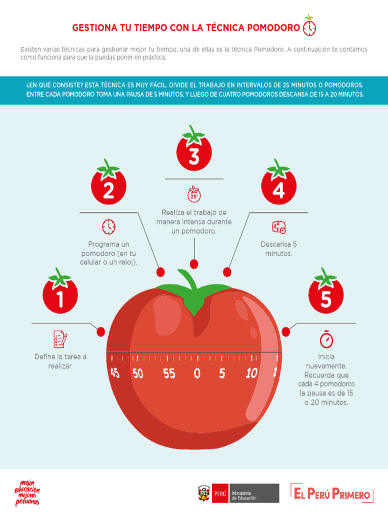 Infografia Tecnica Pomodoro | PDF