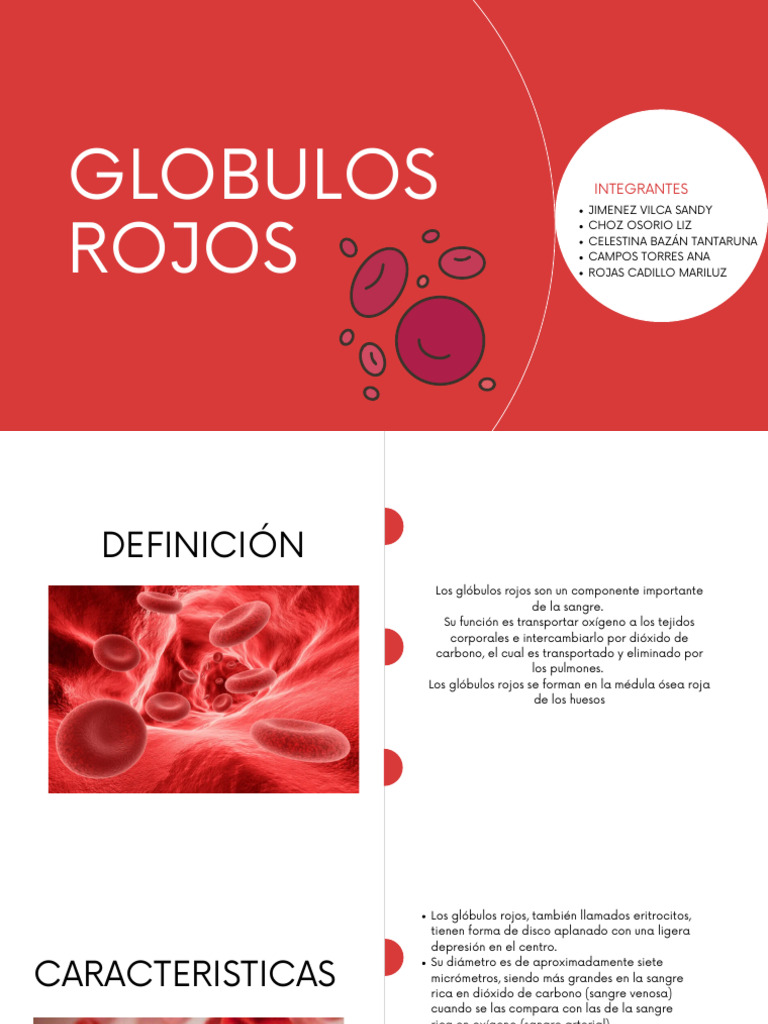 Características y funciones de glóbulos rojos | PDF | Glóbulo rojo | Sangre