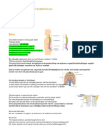 Anatomie Van Het Paard | PDF