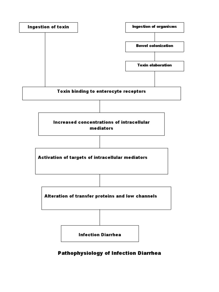 Pa Tho Physiology of Infection Diarrhea | PDF | Diarrhea | Escherichia Coli
