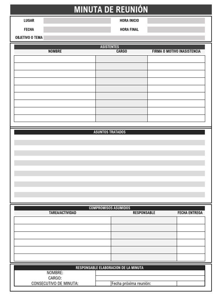 Formato Minutas | PDF