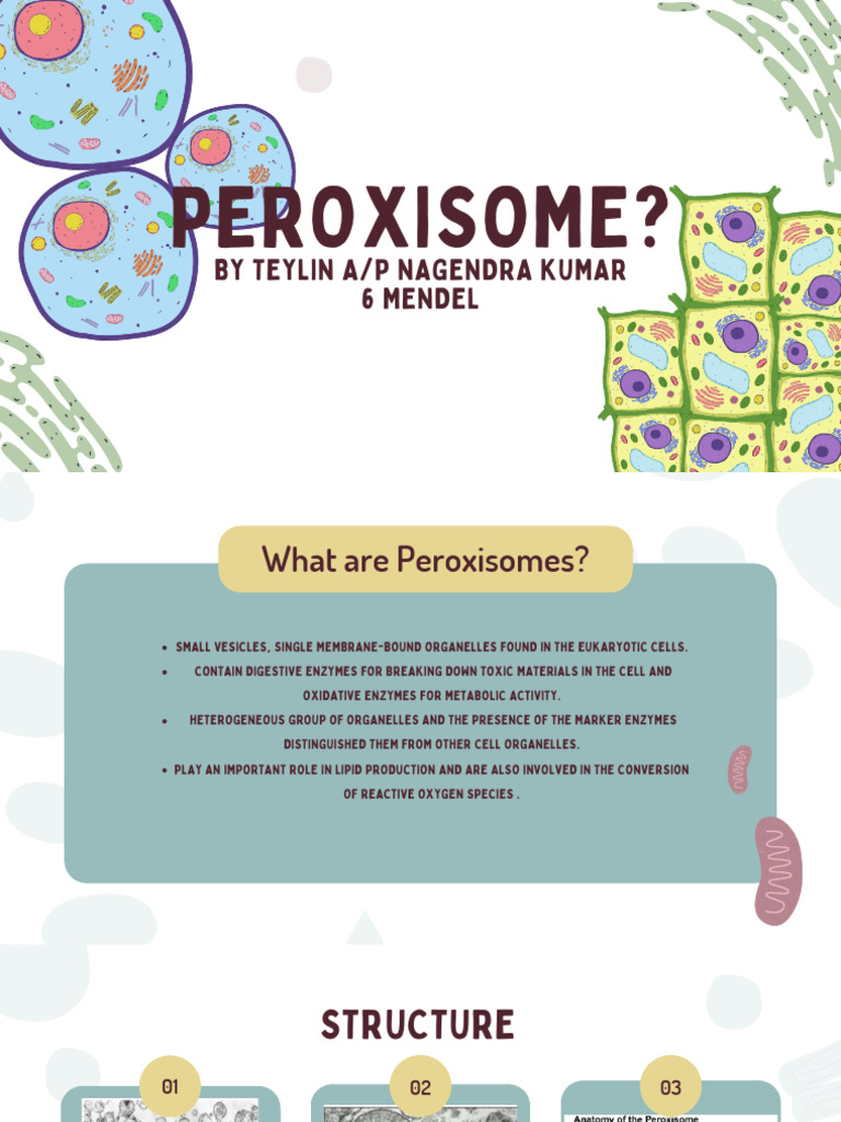 Peroxisomes: Functions & Structure | PDF | Science & Mathematics