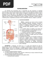 Diferença entre Quimo e Quilo | PDF | Digestão | Estômago