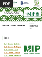 Nom 075 Fito 1997 | PDF | Naranja) | Pomelo