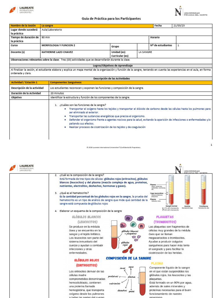 Guias Estructura y Funcion Humana 2 UPN 1,2,3 | PDF | Sistema inmune | Sangre