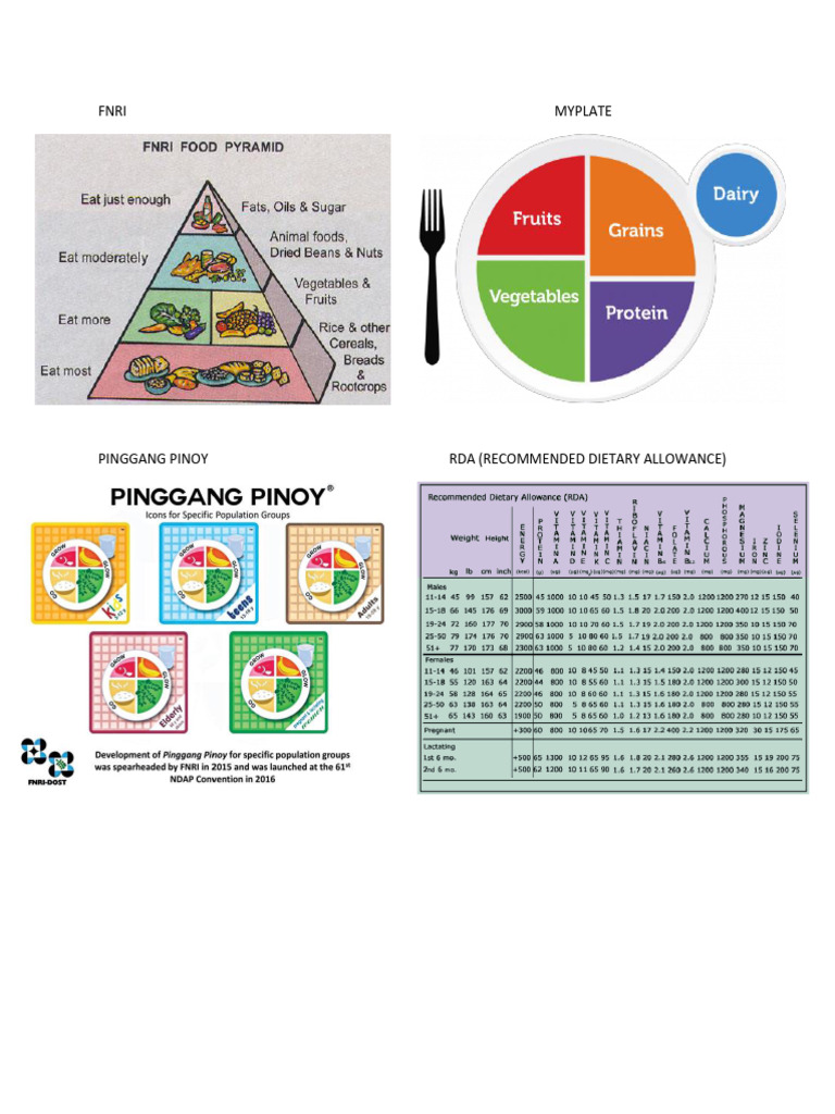 MyPlate and Pinggang Pinoy Guide | PDF | Wellness