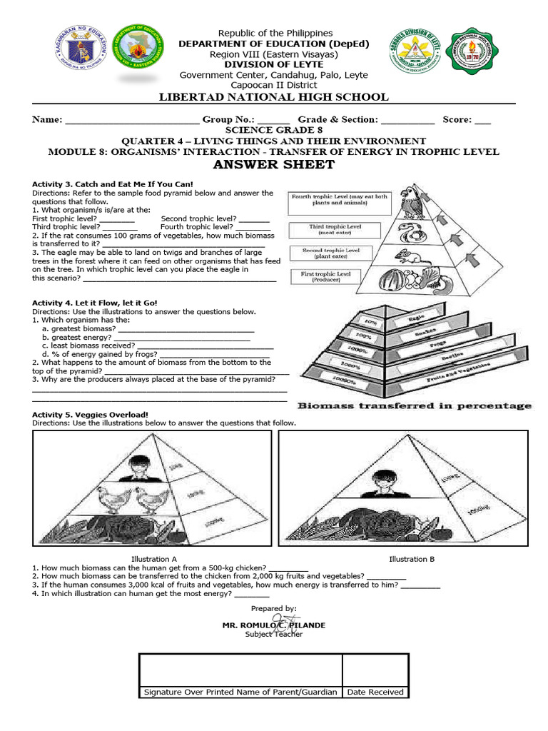 Science 8 - Quarter 4 - Module 8 - Answer Sheet - Food Pyramid ...