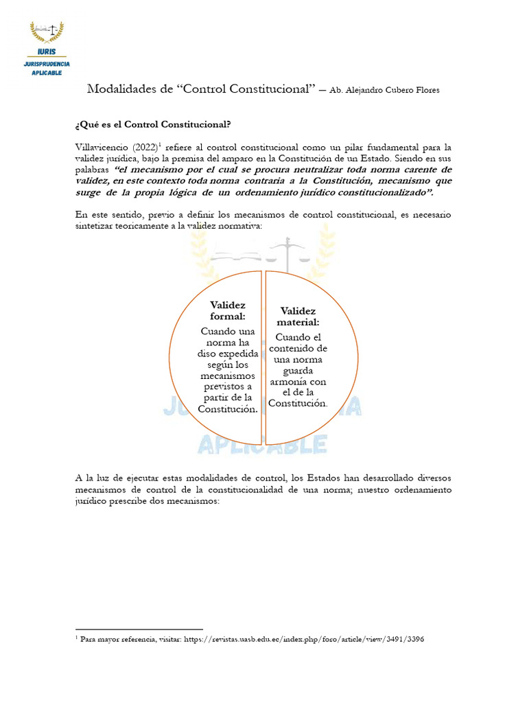 Modalidades de Control Constitucional | PDF | Constitución | Gobierno