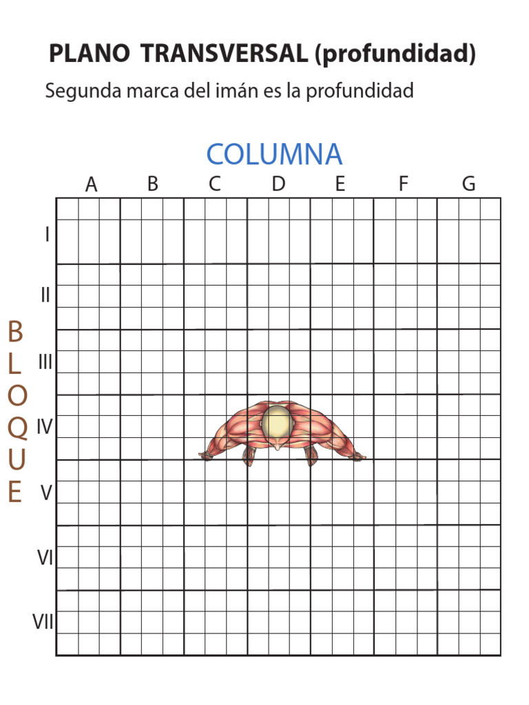 Plano TransversalRectangulo | PDF