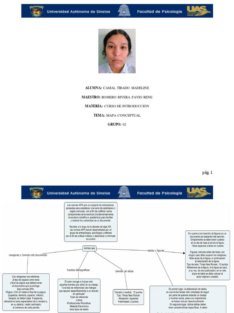 Mapa Conceptual, Normas Apa | PDF